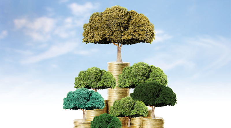 Basic Tree - PBA Health